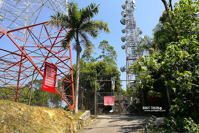 Bukit Tokun 大山脚【卓坤山】孟光水坝 | 板根大树 | 山顶电讯塔 - 乐飞翎 ♥ LUVFEELIN