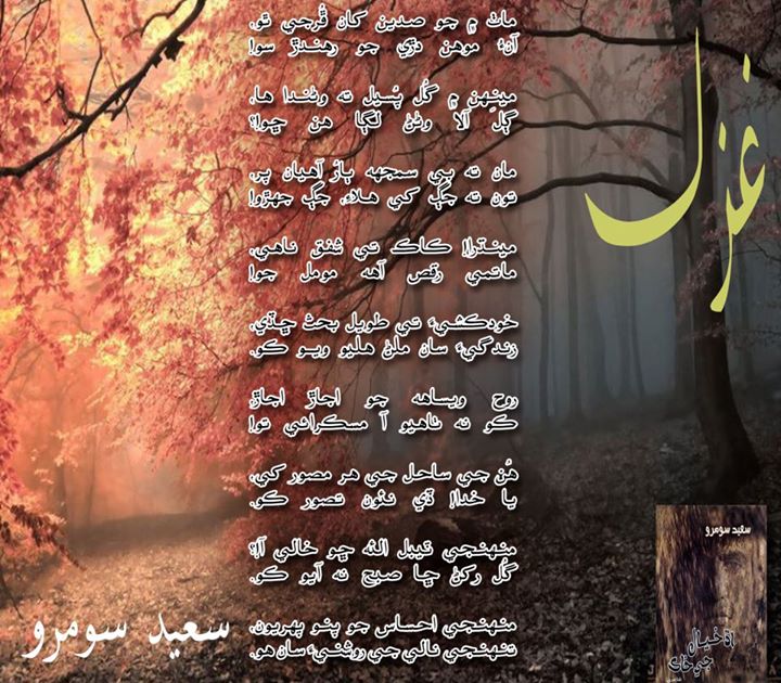 Sindhi Poetry Wallpapers | Beautiful wallpapers For Desktop