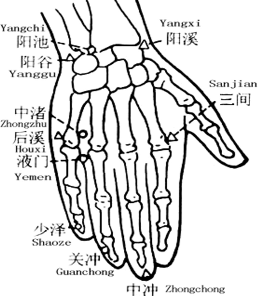Meridian dan Titik Akupunktur : San Jiao (Triple Energizer/TE/SJ ...