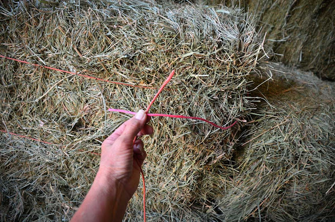 The 7MSN Ranch: Hay bale repair ~ a tutorial