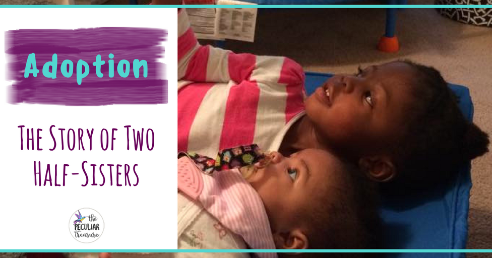 The Peculiar Treasure: Called to Adoption: How Two Half-Sisters Were ...