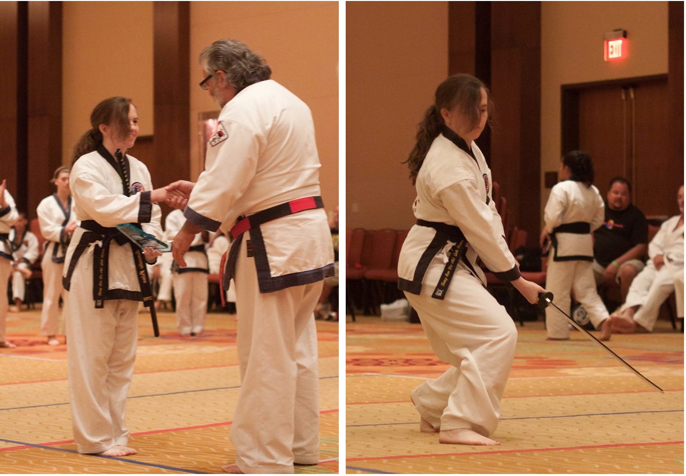 TANG SOO DO (TANG SU DO) MI GUK KWAN Sa Bom Nim R. LONGINOTTI ...