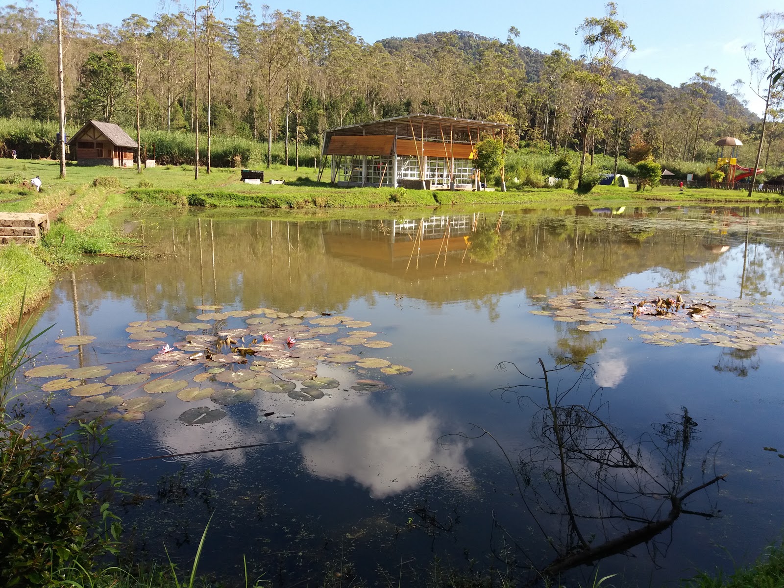 Kampung Cai Ranca Upas , Perpaduan Wisata Alam Yang Sempurna di Ciwidey