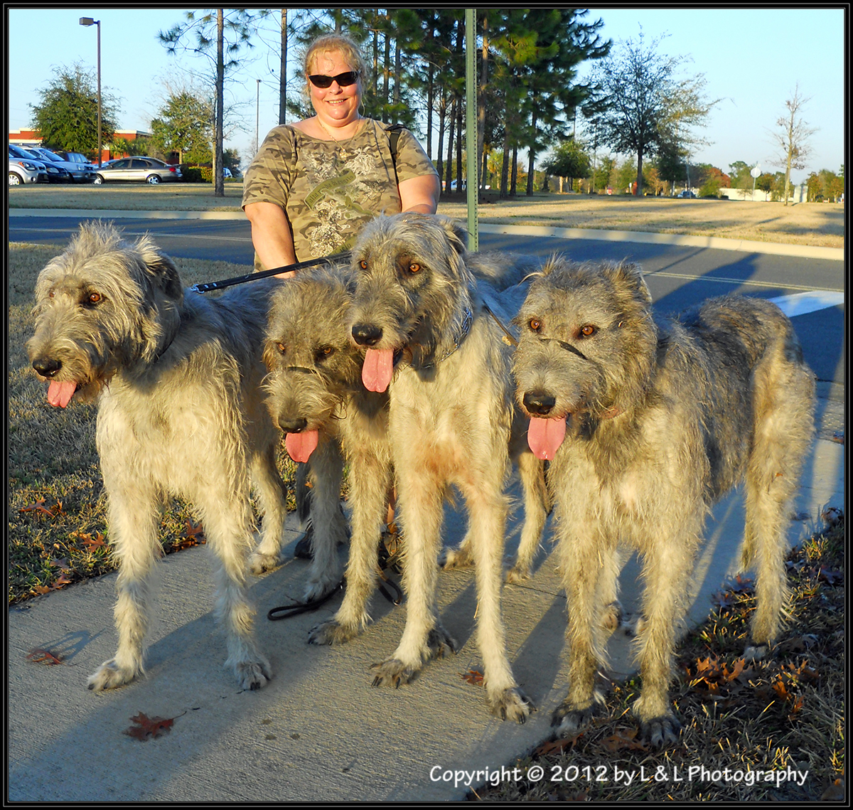Ocala, Central Florida & Beyond: Misty Anderson and her four Irish ...