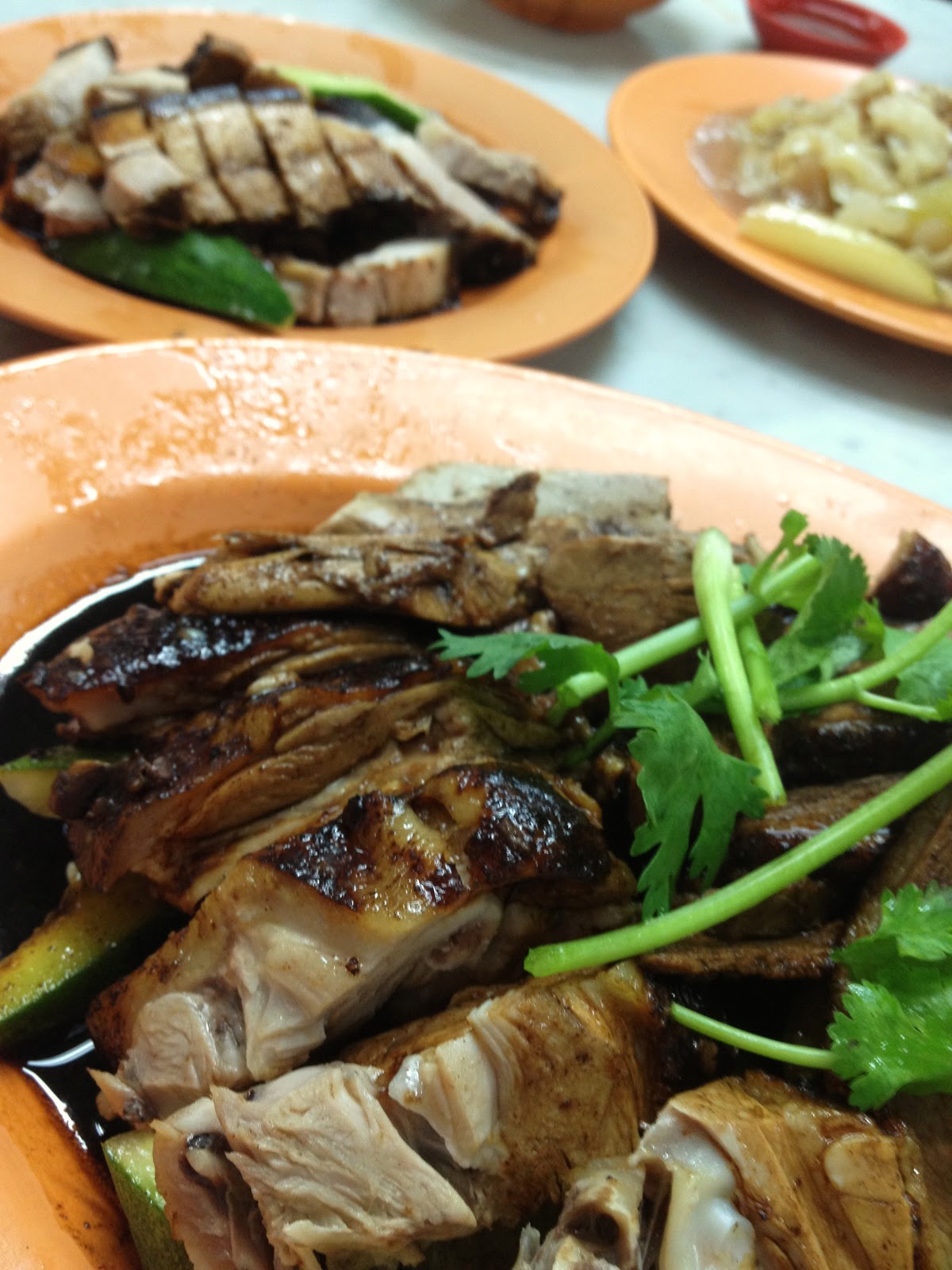 Tai Dong Teochew Braised Duck