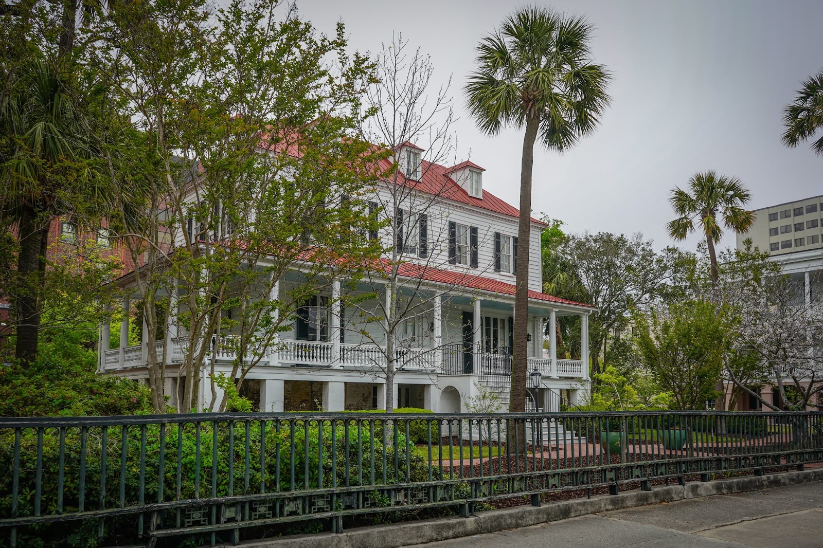 Charleston Daily Photo: Spring on Calhoun St.