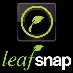 Teacher Librarians: Bridging Theory and Practice: App Review: LeafSnap