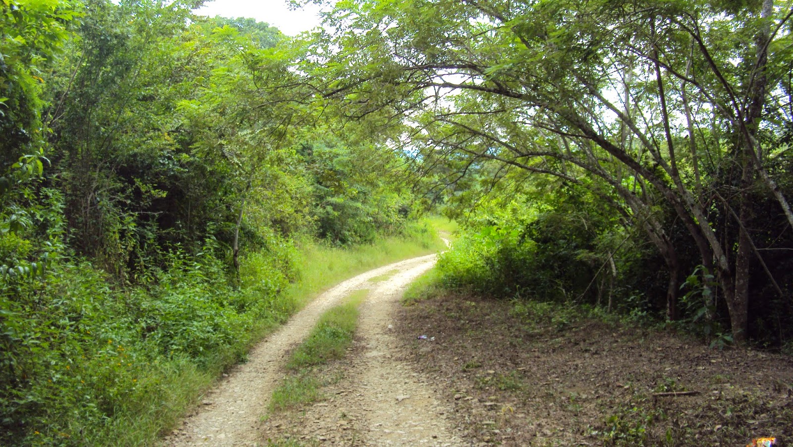 MATLAPA SAN LUIS POTOSI: CONTAMINACIÓN EN PAPATLAS