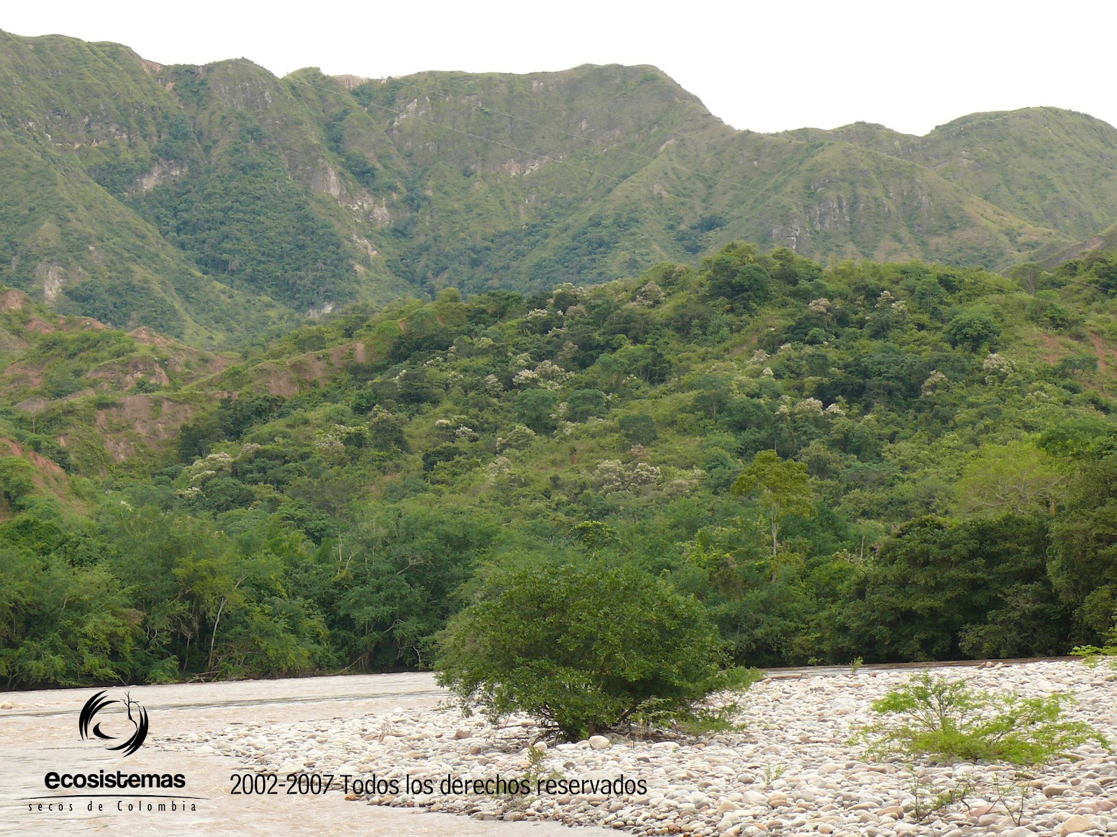 Bosques De Colombia