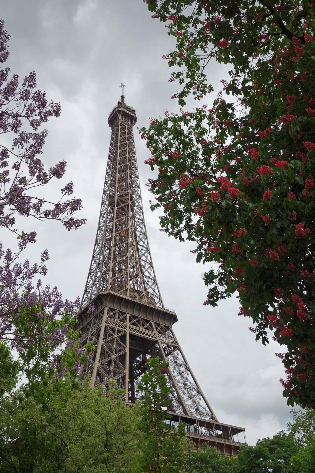 Europe au pif: Paris trees in bloom