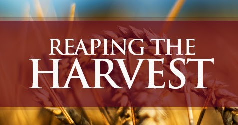 THE PATHFINDERS: Life Principle 6: The Principle of Sowing and Reaping