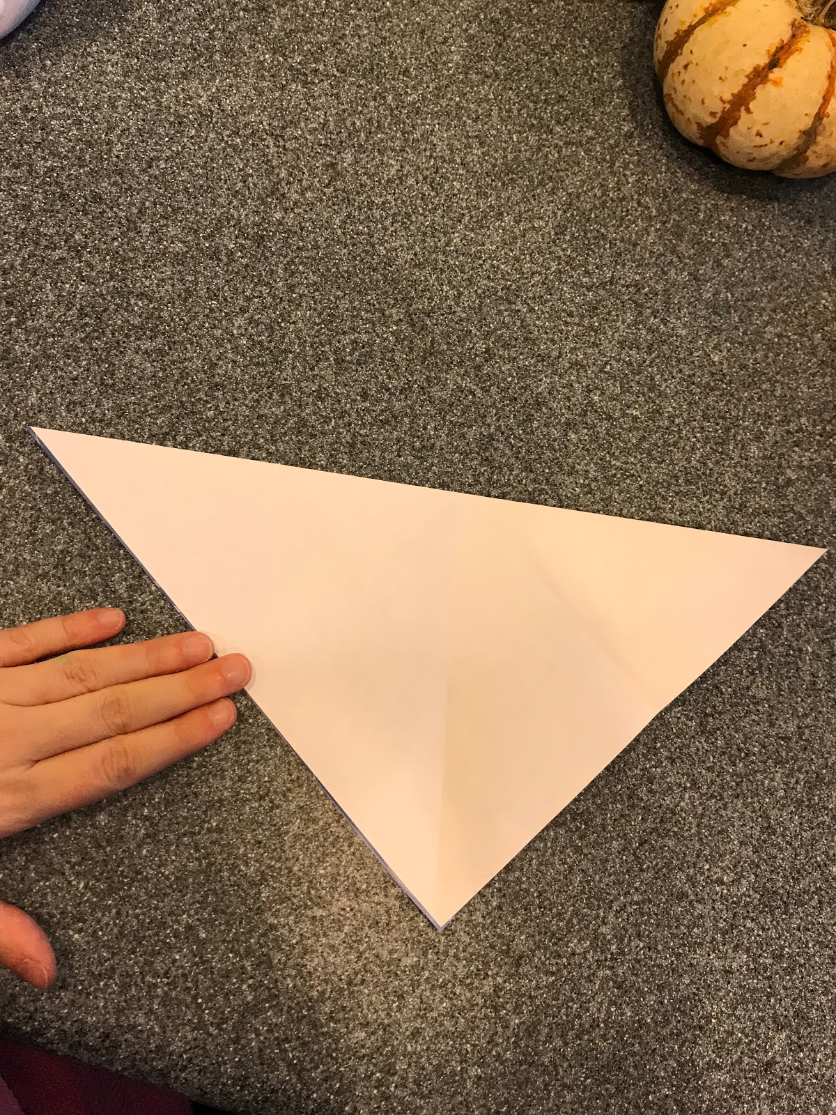 The Mixed-Up Files of Miss Kat