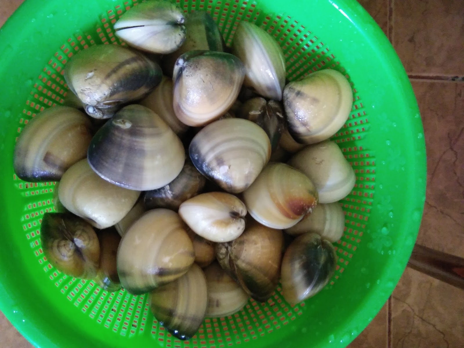 Surayaa: Resepi : Kepah masak halia