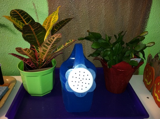 Discovery Kidzone Montessori Adventures: Practical Guide to Practical ...