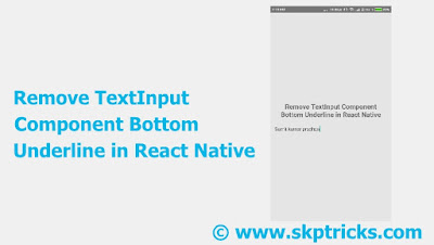 Remove TextInput Component Bottom Underline in React Native | SKPTRICKS