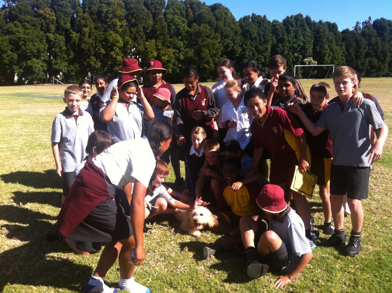 Howick Intermediate Room 6!: Falcor who?