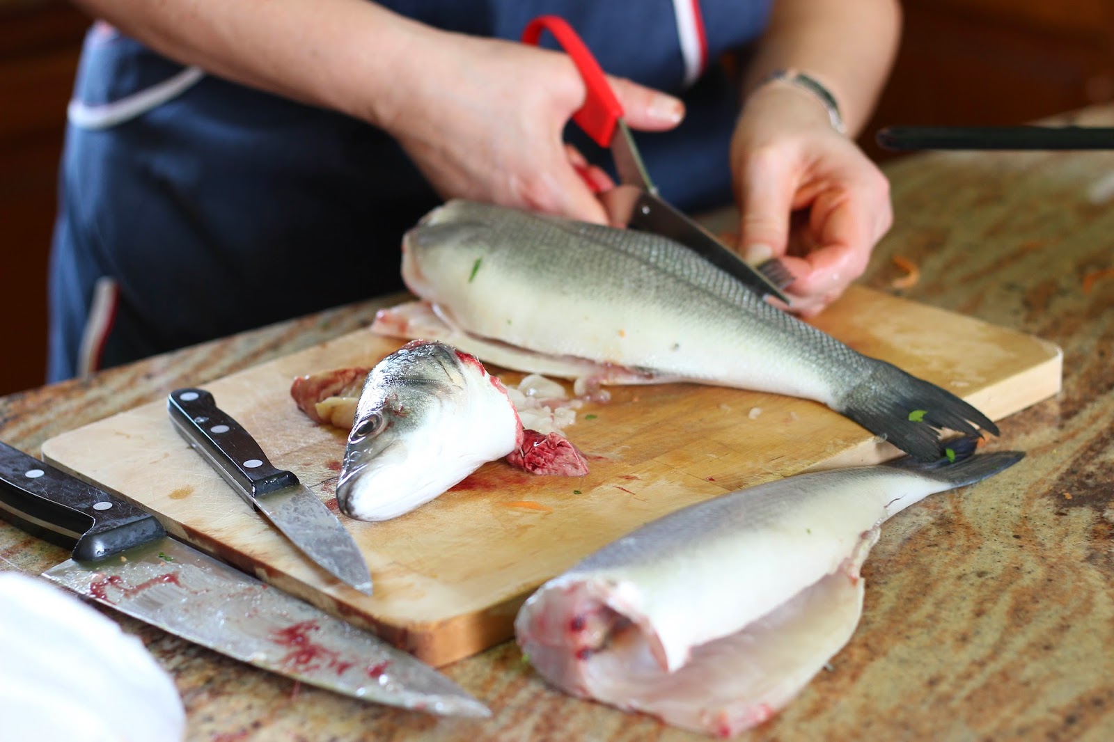 Zeebaars - Dishcover