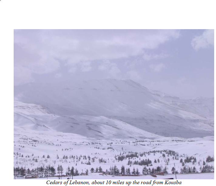 History of the Saddic, Gosen and Azar families of Kousba, Lebanon: Our ...