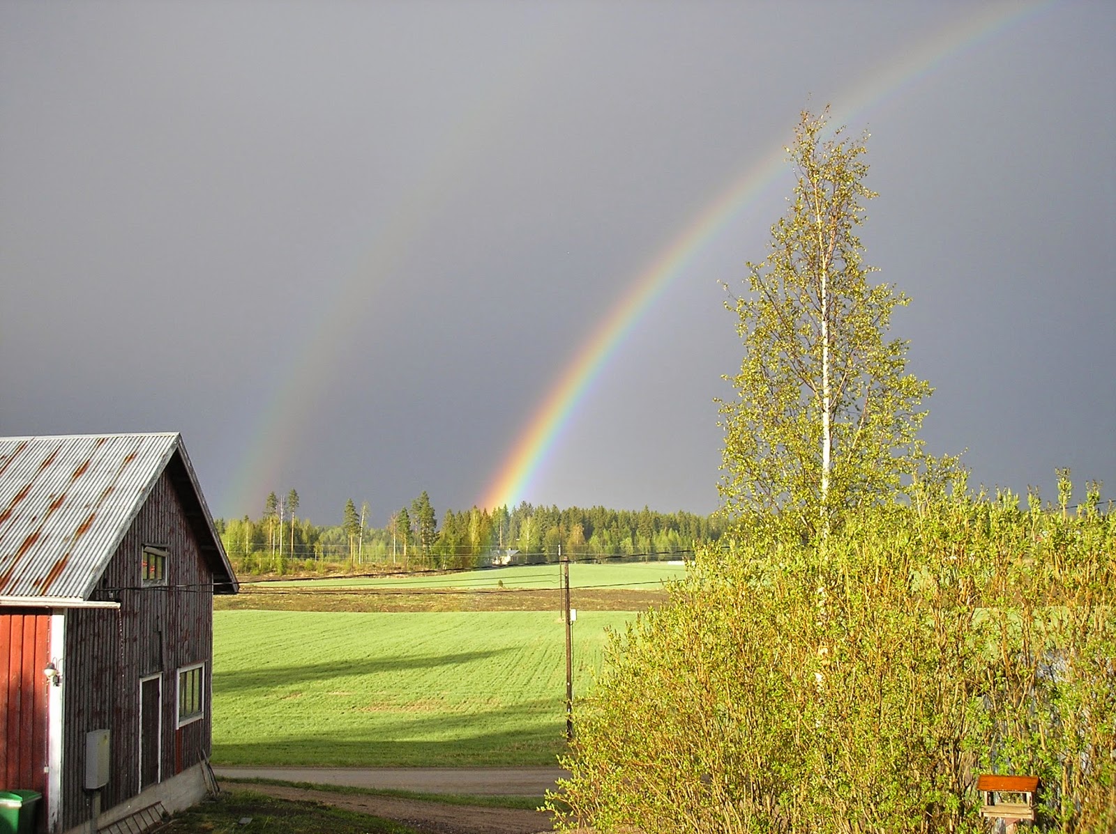 Shamaanin matkassa: Fysiikan lait ja henkiset lait