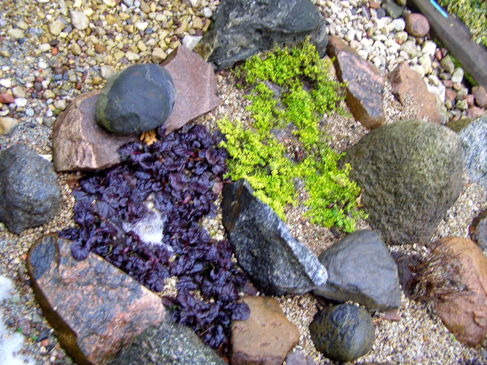 FUTULAND: Head ajad, lumi sulab.:)