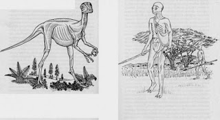 El homo-saurus: así seríamos los “humanos” si descendiéramos de los ...