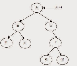 Non - Linear Data Structure : Trees | The Daily Programmer
