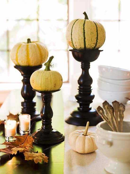 Northern Nesting: Pumpkins & Gourds