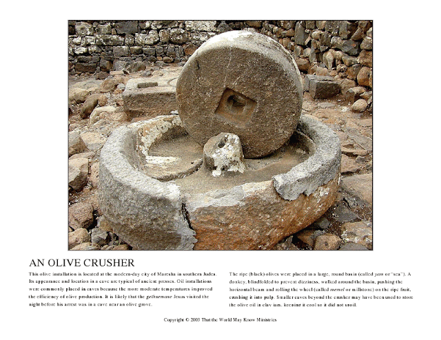 Biblical Perspectives: Matthew 18 Who is great