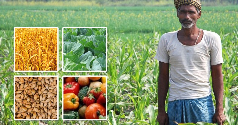 How does Farmkey make farming easy and efficient?