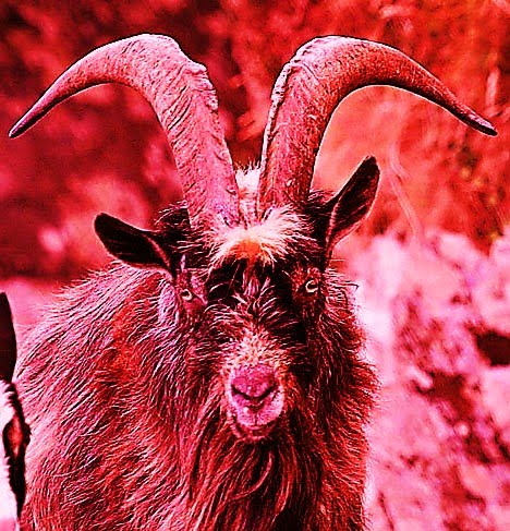 Mistérios Fantásticos: O Bode Vermelho