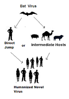 Avian Flu Diary: ICYMI: The Passing Parade Of 2019 - Pt. 2