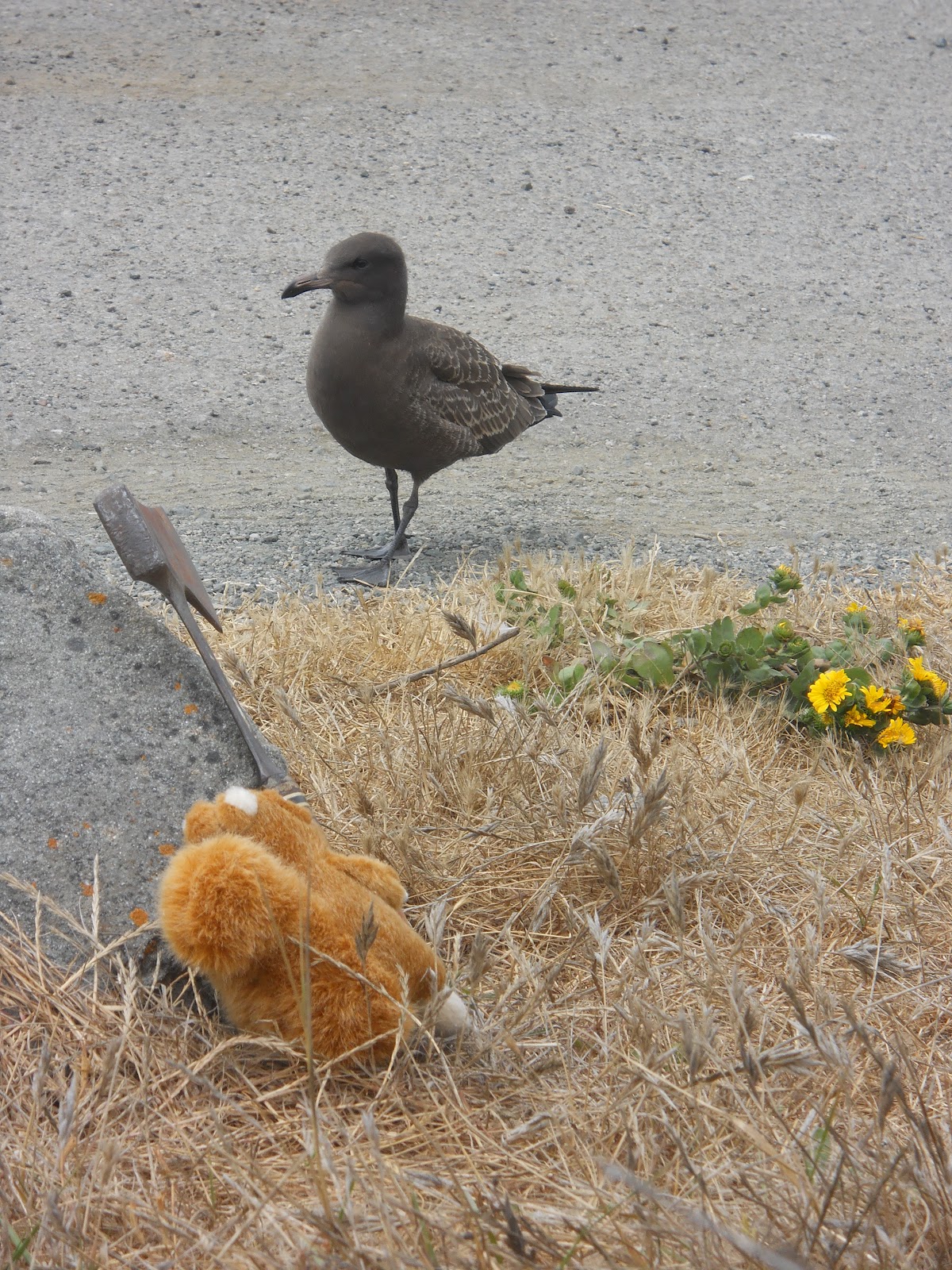 Roeper Alumni Grand Tour