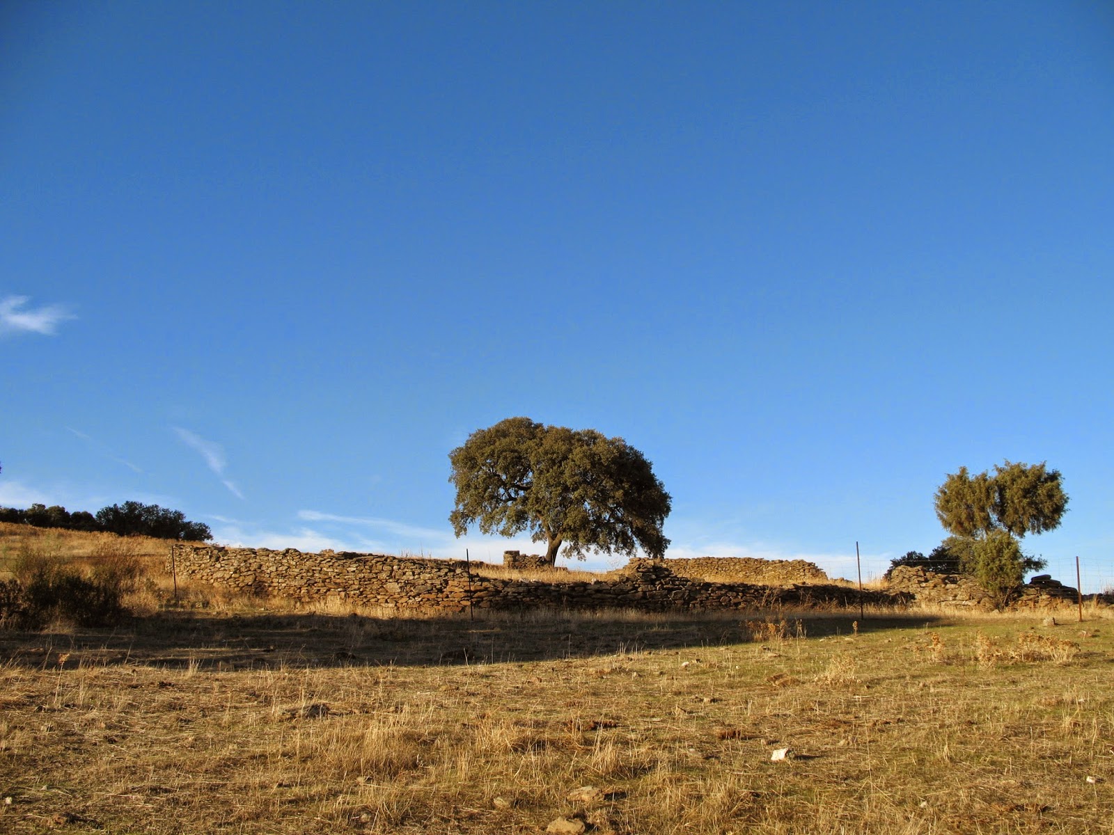 APRISCO DE GANADO - COLMENAR DE LOS GUERREROS | PATRIMONIO MATERIAL
