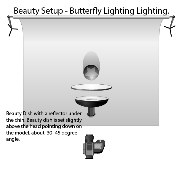 Digital Photography: Contemporary Portrait & Commercial Photography