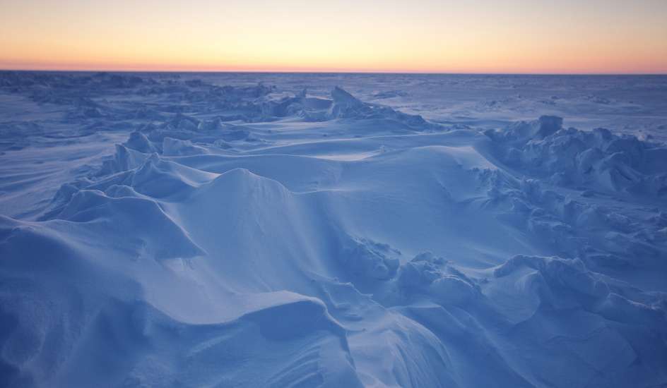 Un Mundo en Paz: Imágenes del Ártico