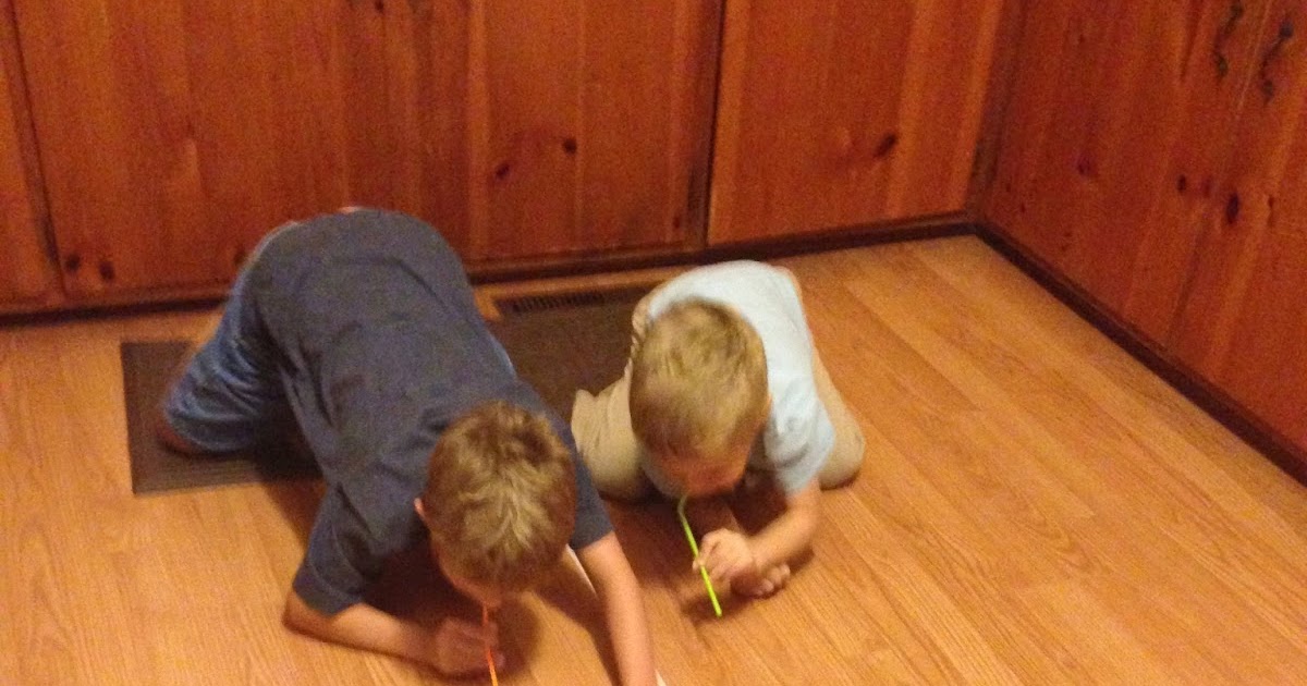 What I Live For: Pom Pom Races