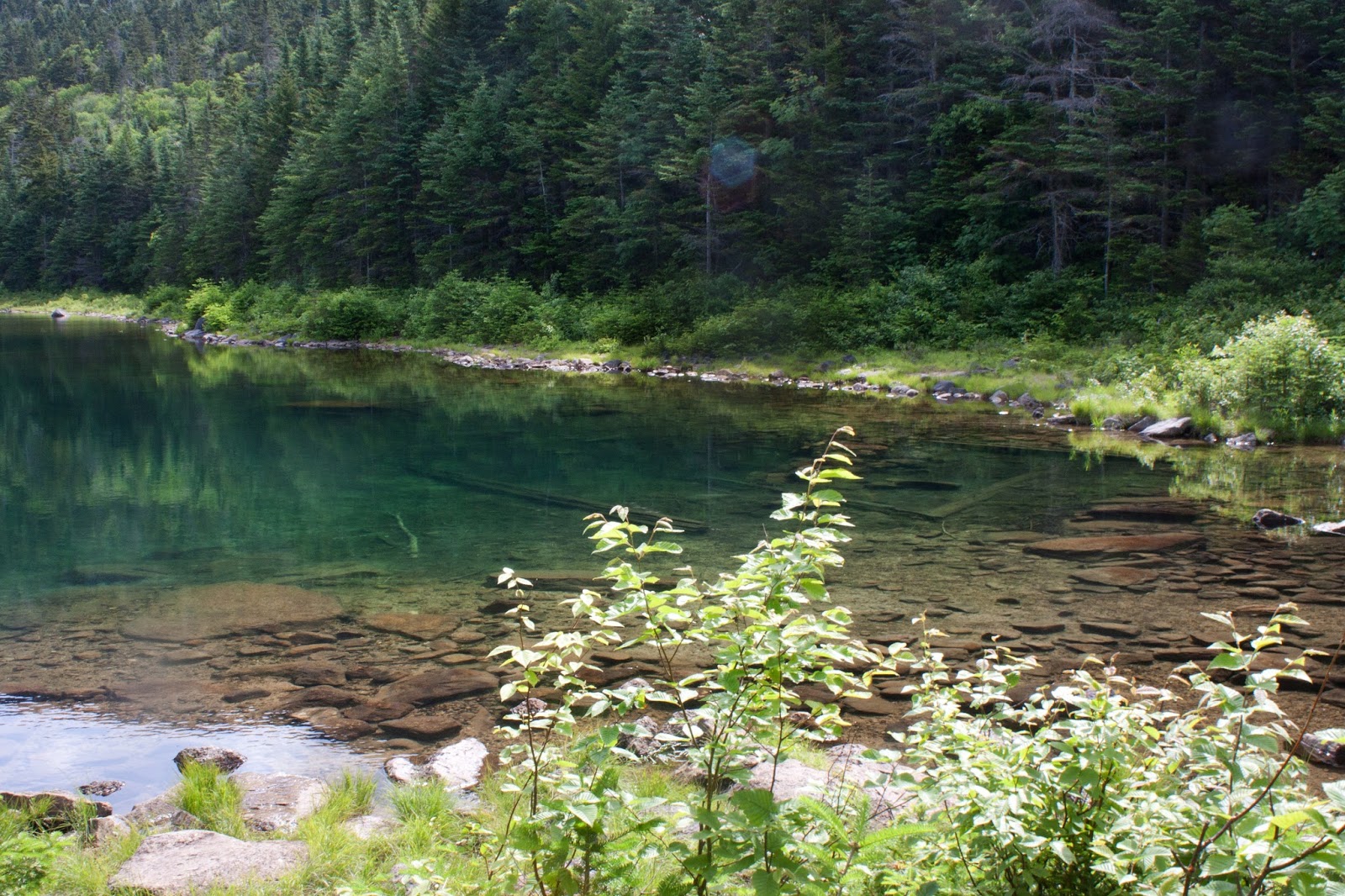 Trout Stream Day Dreams: Journey to a White Mountain Remote Pond
