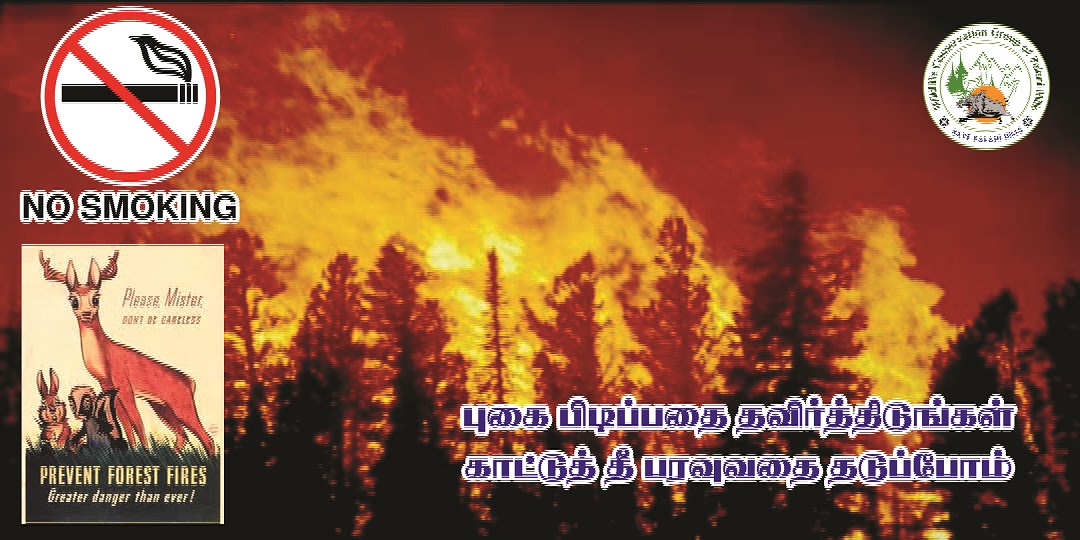 Wildlife Conservation Group of Palani Hills: Forest Fire Awareness Campaign