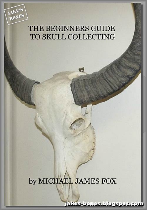 A new book about bone collecting : Jake's Bones