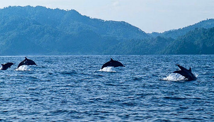 7 Manfaat Wilayah Perairan Indonesia ~ Ruana Sagita