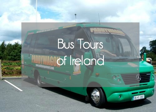 Happiness and Heather: Bus Tours of Ireland