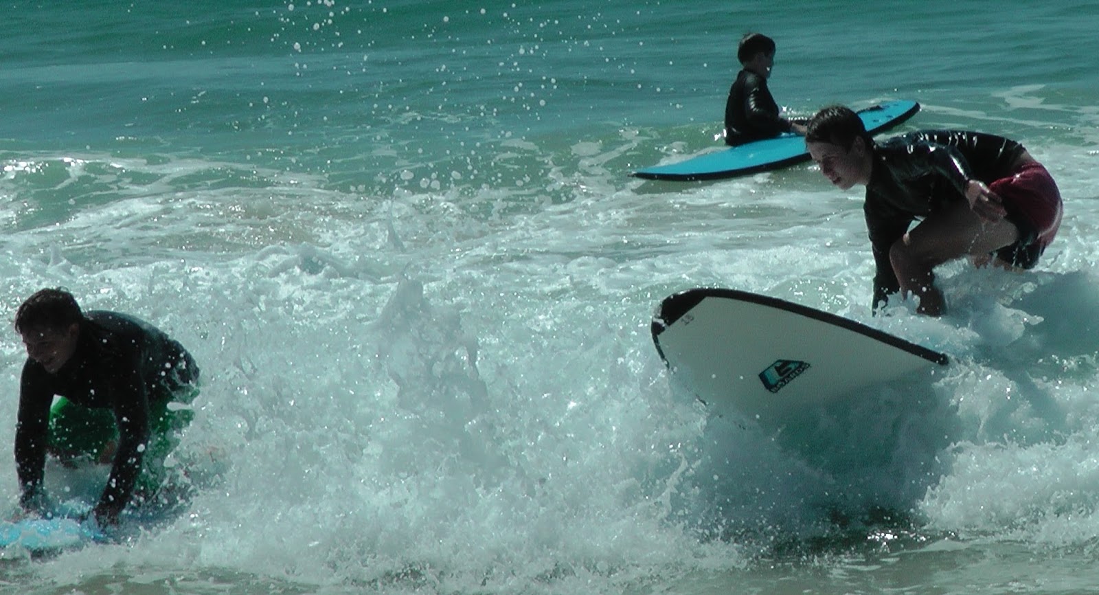 BTC Blog: Tallebudgera Camp