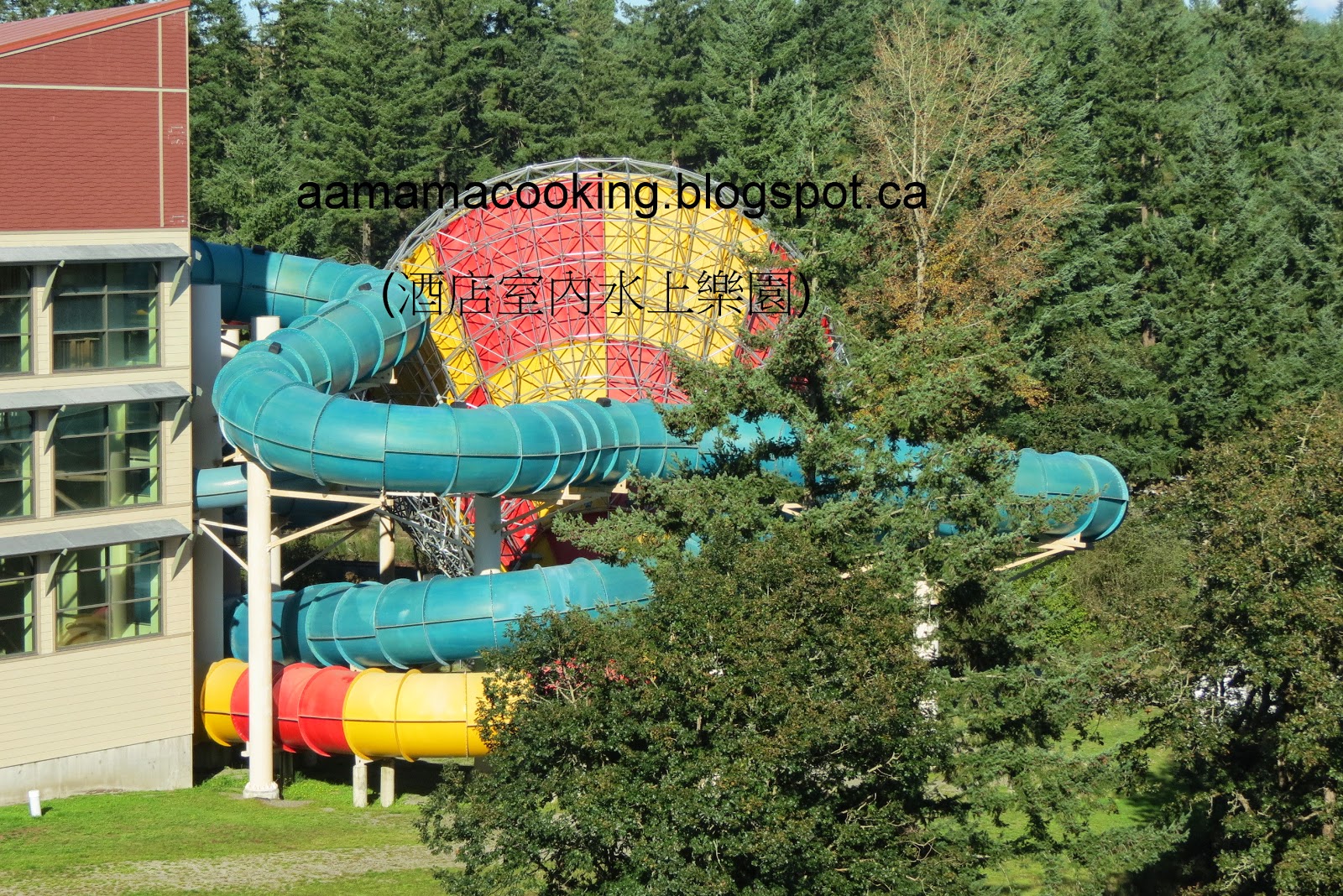 AA mama: Great Wolf Lodge, WA ---- Family Of Indoor Water Park Resorts
