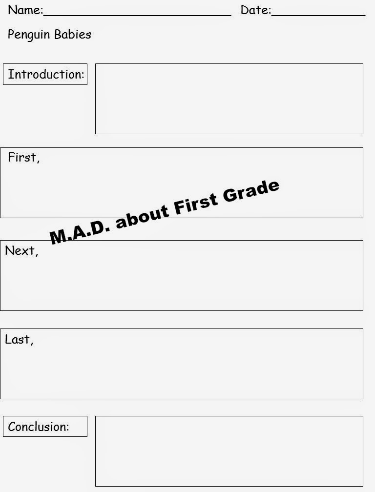 M.A.D. about first grade: Who doesn't love penguins!?