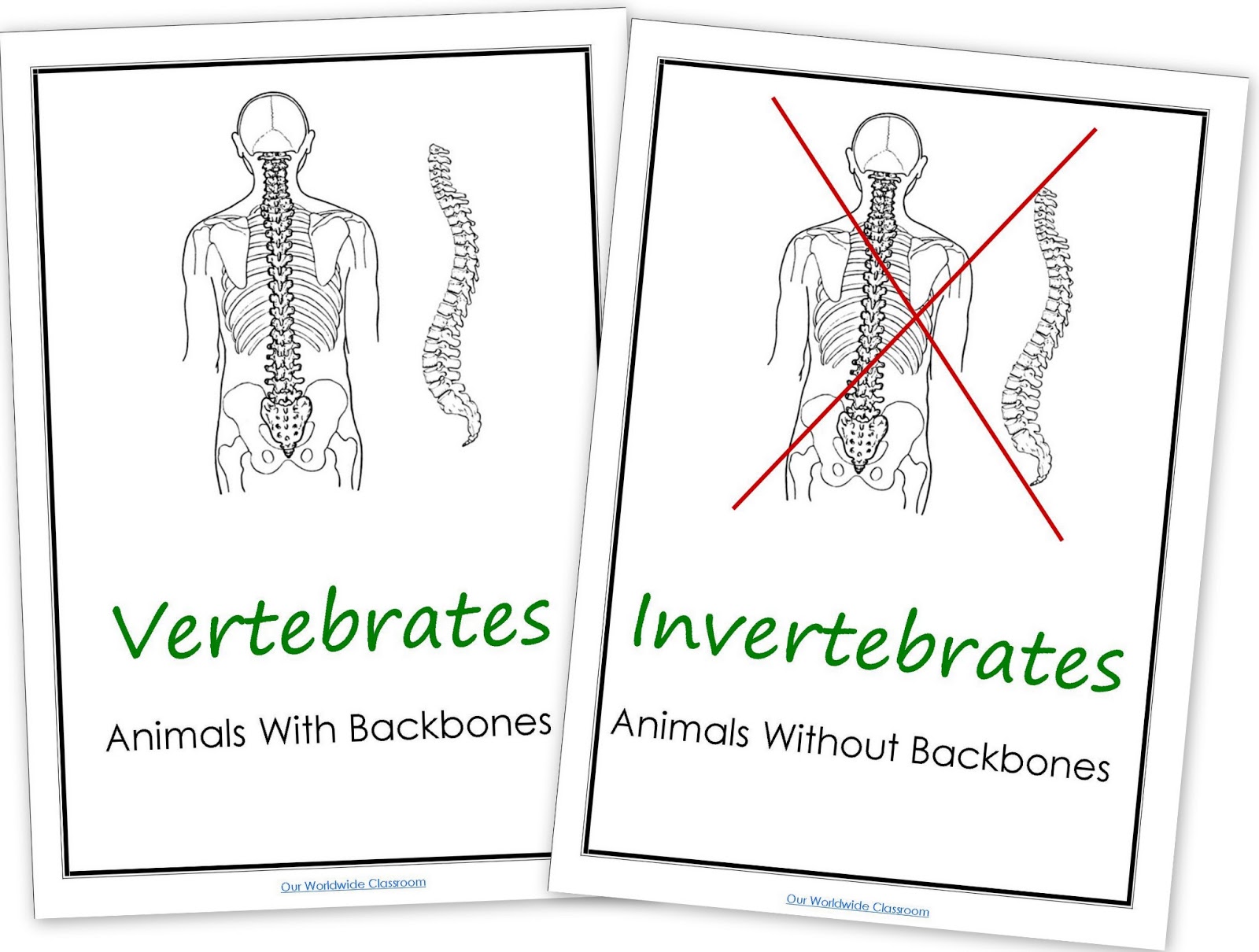 Our Animal Kingdom Notebooks With Printable Materials