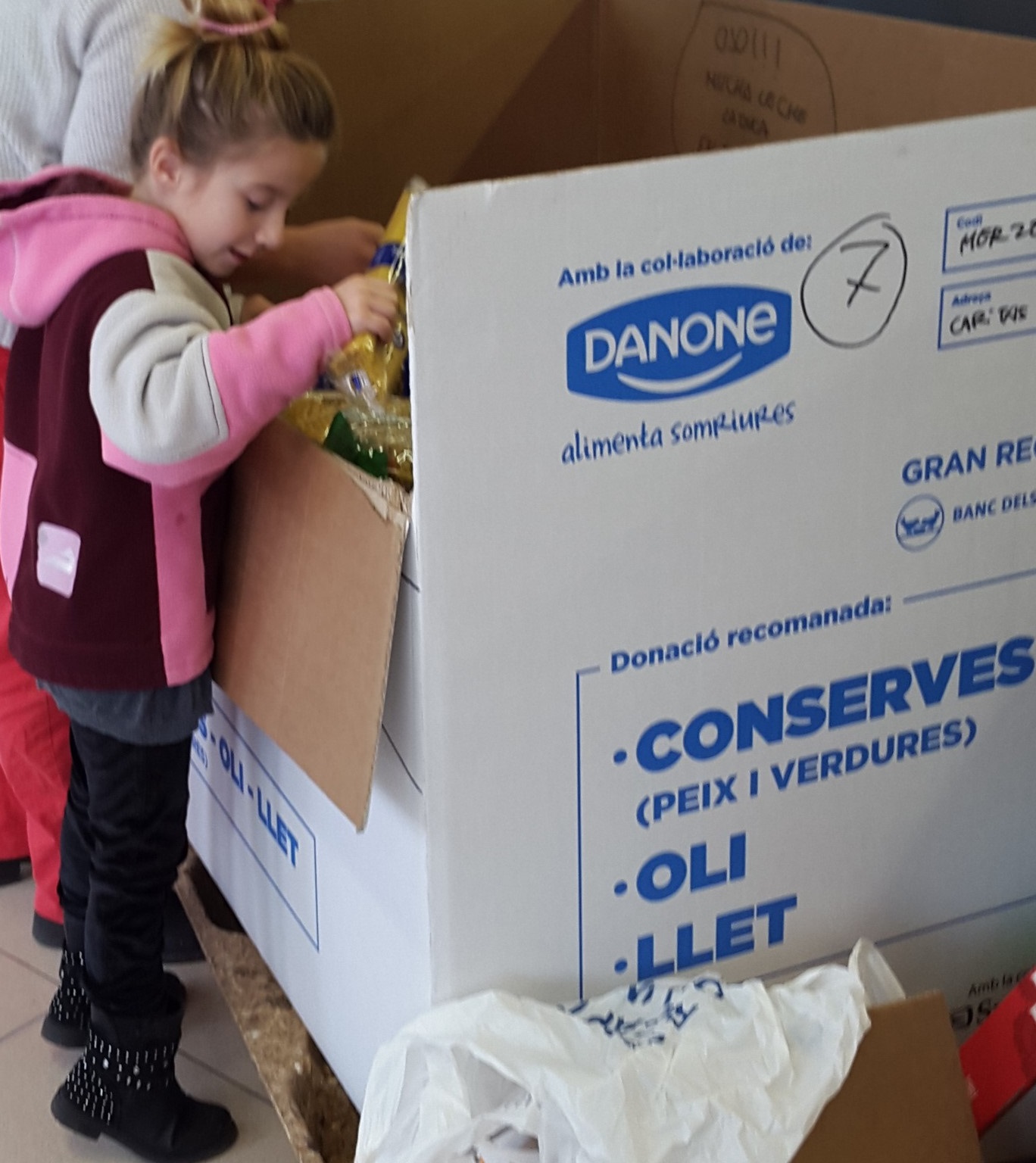 LA GRAN RECOGIDA DE ALIMENTOS | Aula Itinerante ALEX ZAVATTA