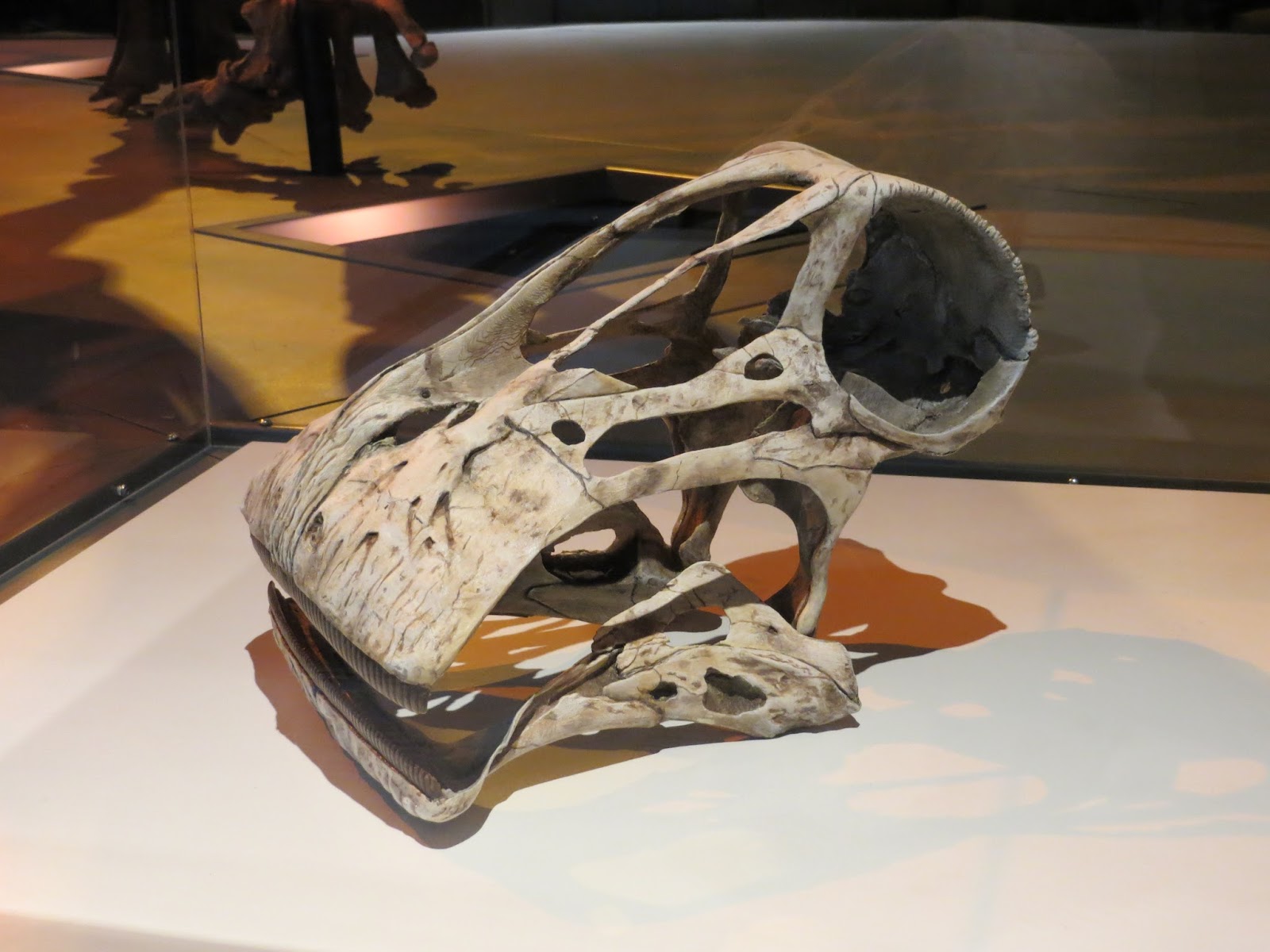 Justine's Halloween: Ultimate Dinosaurs!