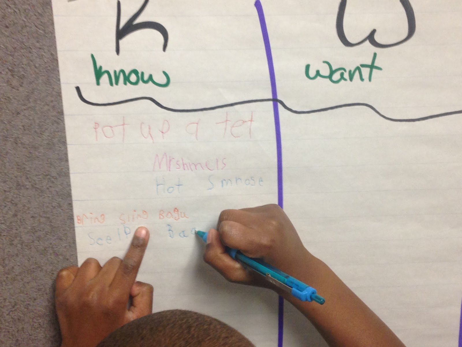 Toad-ally Exceptional Learners: differentiation