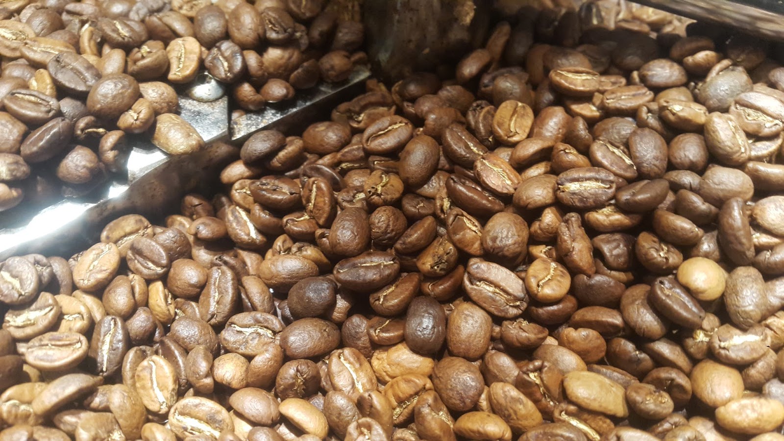 coffee selection guide