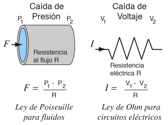LEY DE STOKES, LEY DE POISEUILLE, PRINCIPIO DE ARQUIMEDES